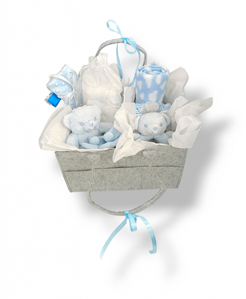 Blue Baby Nappy Caddy Gift Set - Tiny Toes Baby Boutique